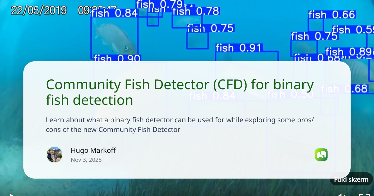 Community Fish Detector (CFD) for binary fish detection