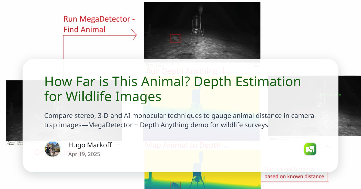 How Far is This Animal? Depth Estimation for Wildlife Images