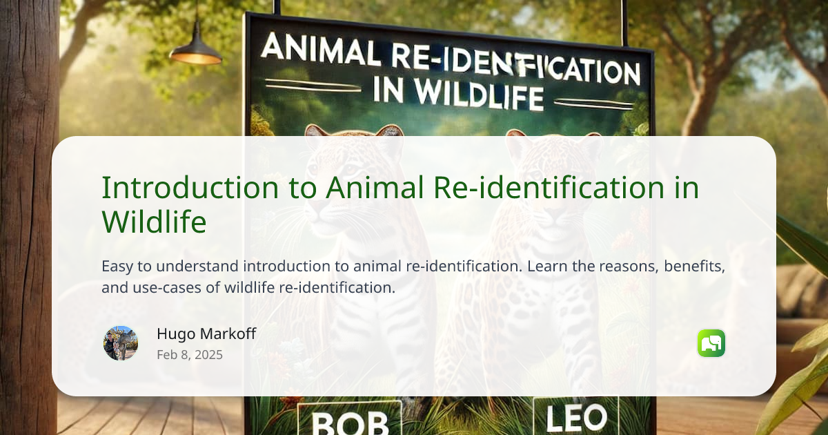 Introduction to Animal Re-identification in Wildlife