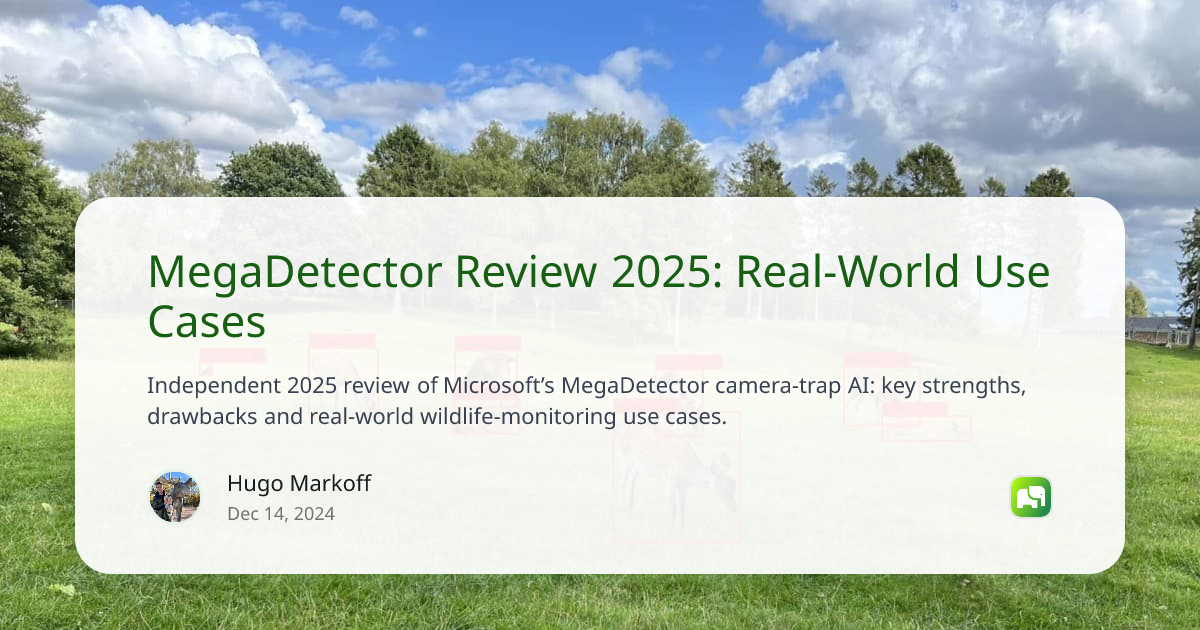 MegaDetector Review 2025: Real-World Use Cases