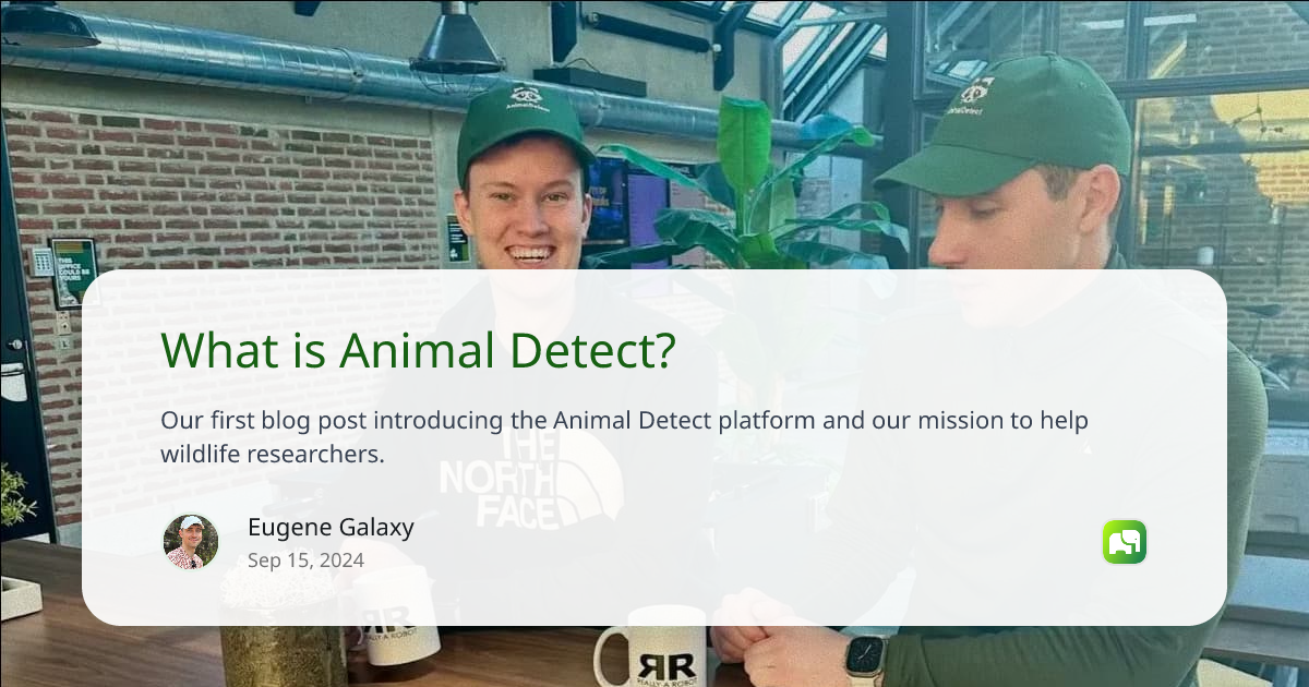 What is Animal Detect?