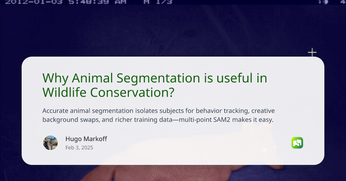 Why Animal Segmentation is useful in Wildlife Conservation?