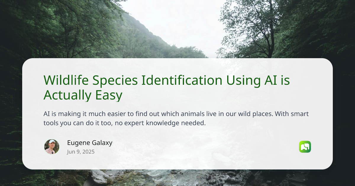 Wildlife Species Identification Using AI is Actually Easy